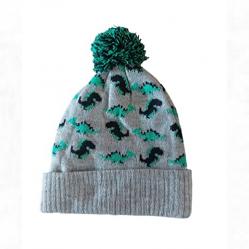 Kids Dinosaur Print Bobble Hat - 4 to 8 Years